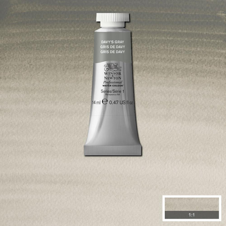 Professional Watercolour - Davy's Gray – Winsor & Newton