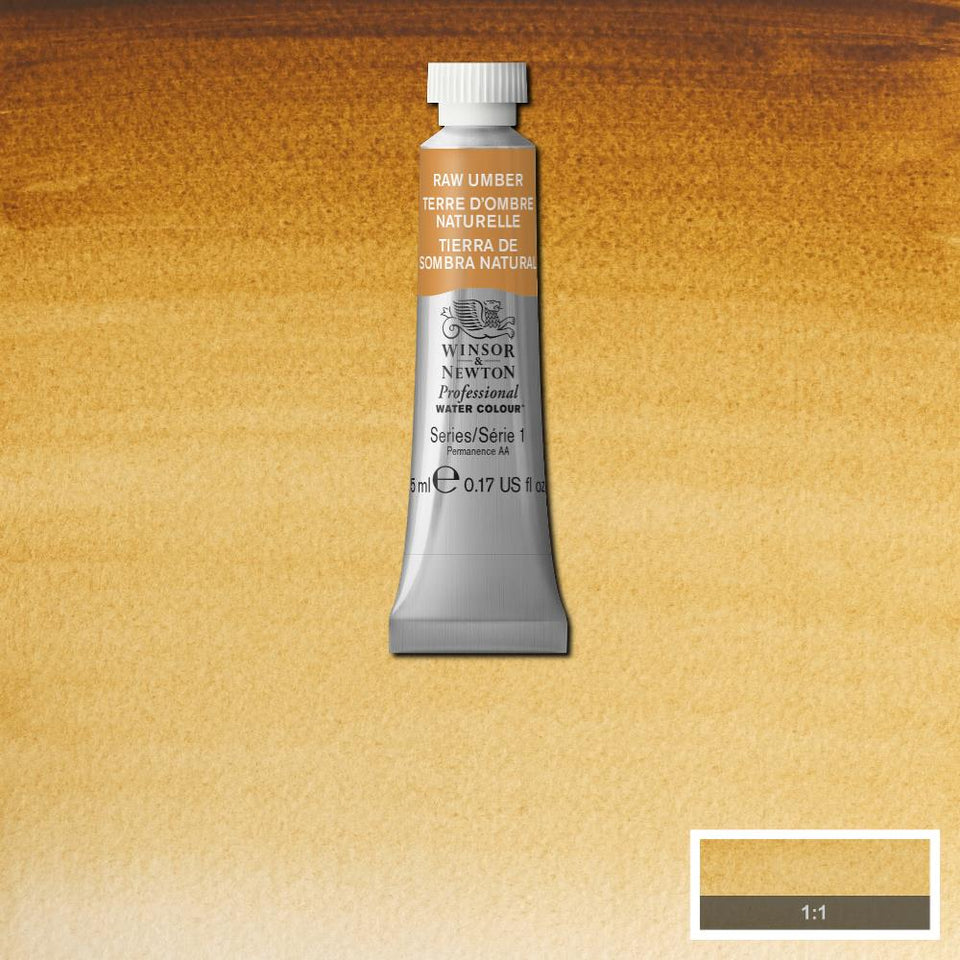 Professional Watercolour - Raw Umber – Winsor & Newton UK