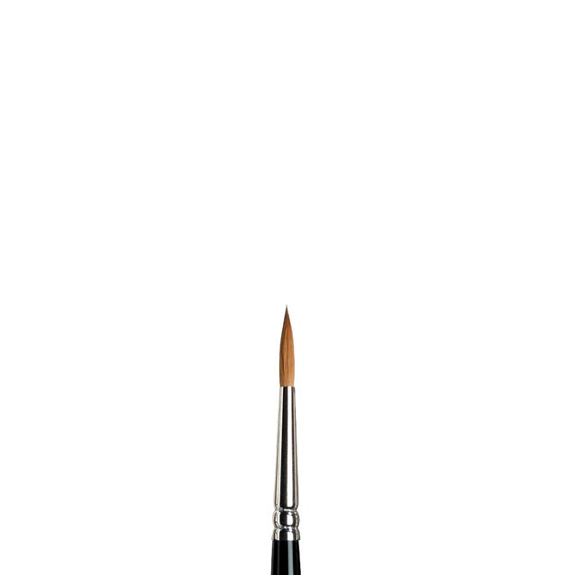 Series 7 Kolinsky Sable Brush - Round – Winsor & Newton